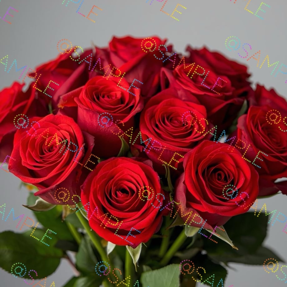 Flower26 | Cheerful Time