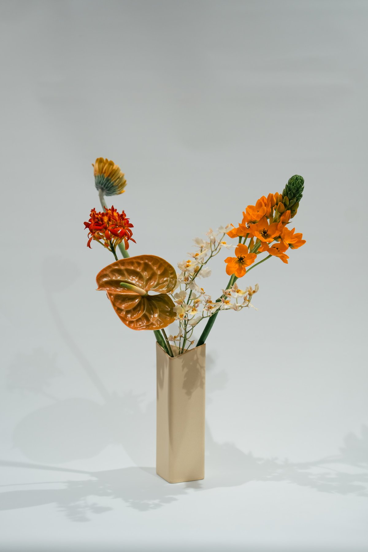 【母の日】nikitoki bloom set | roku flowers and coffee