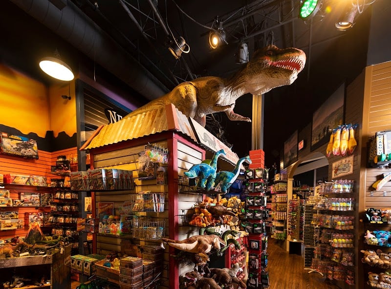 Stage Nine Entertainment & G.Willikers Toy Emporium – Sacramento ...