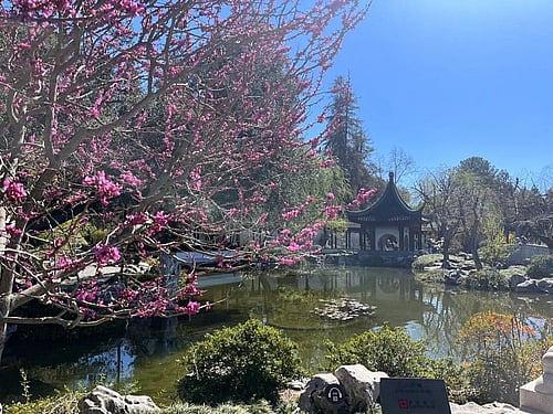 Herballove - The scenery of Hunan Library is beautiful, like it has ...