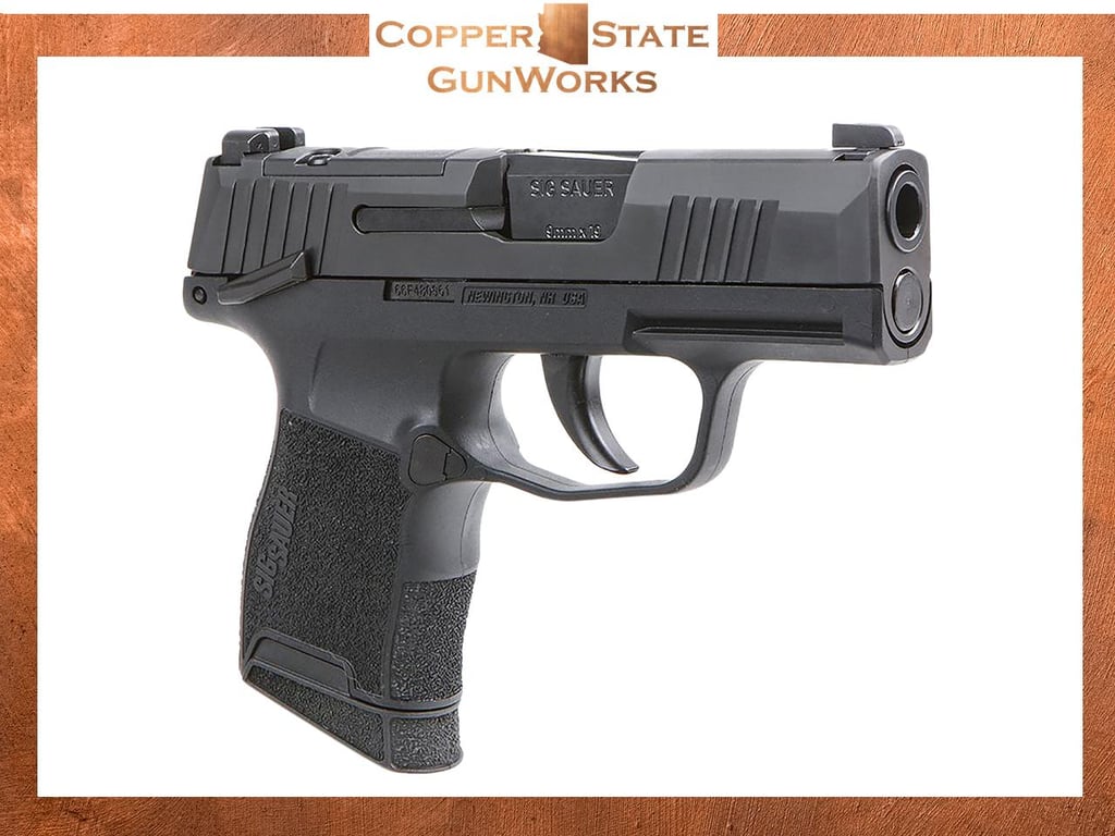 Sig Sauer P365 Striker Fired Semi-automatic Polymer Frame 3659BXR3PMS ...