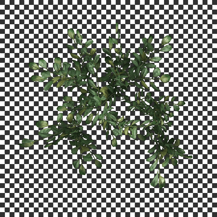 Banyan Tree Leaves Decal - A23D