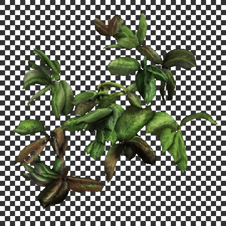 Kingsville Boxwood Leaves Decal - A23D