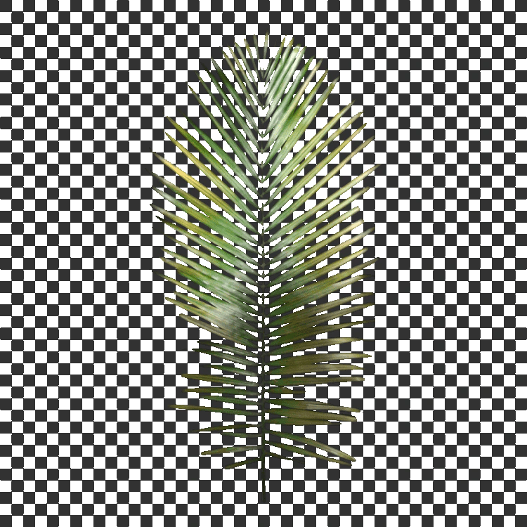 Sample Palm Leaf Decal - A23D
