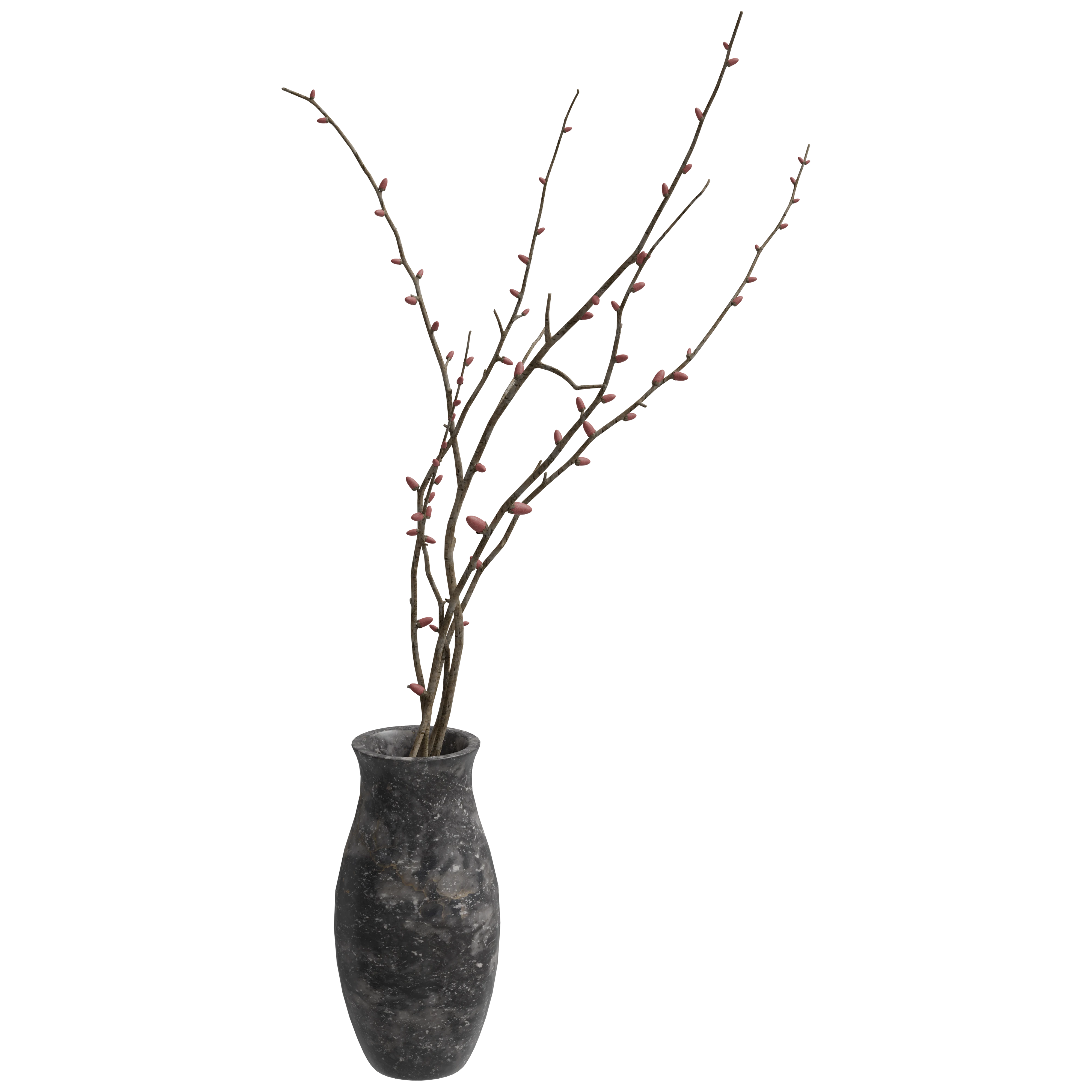 Indoor Plants 3D Model - A23D