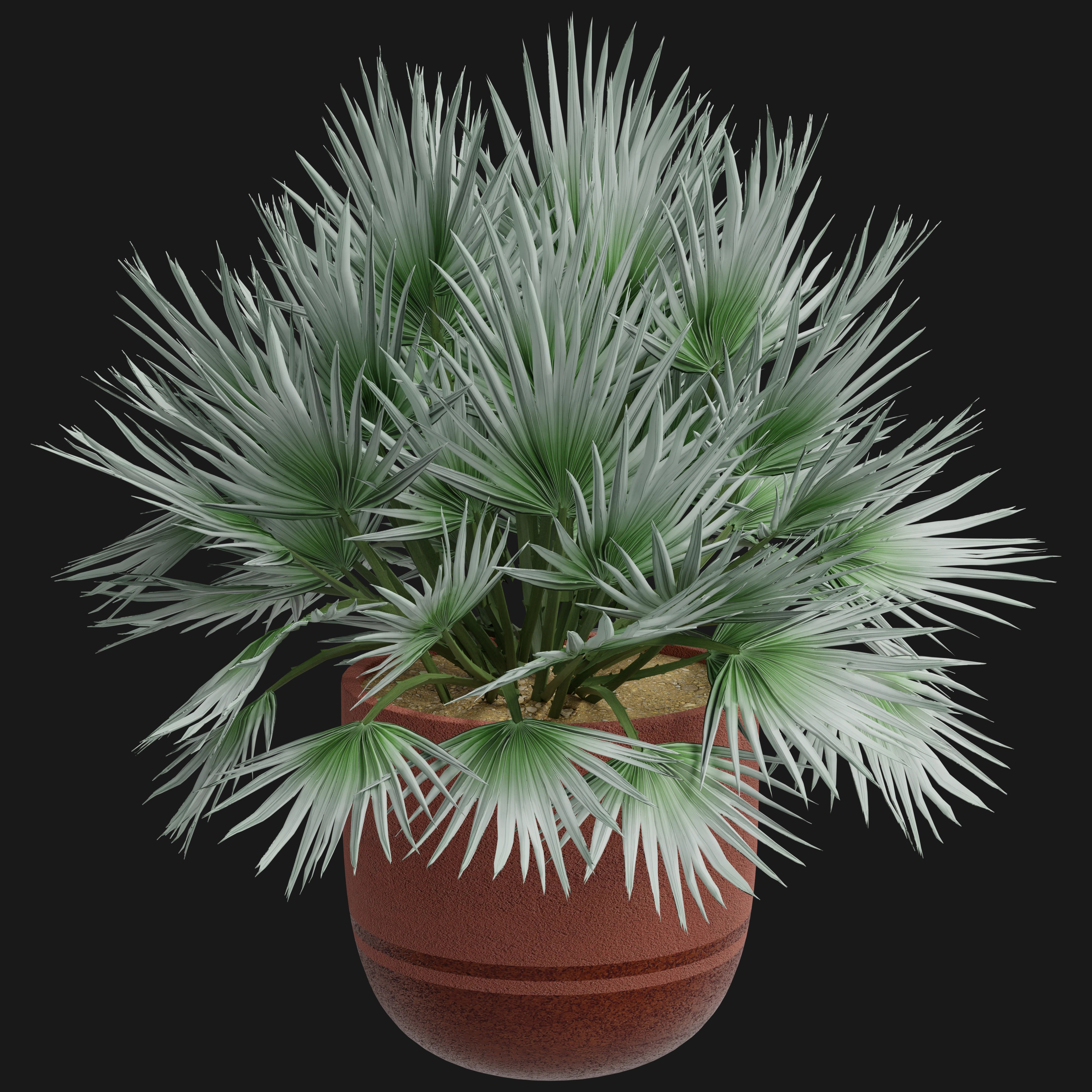 Potted Plant 3D Model - A23D