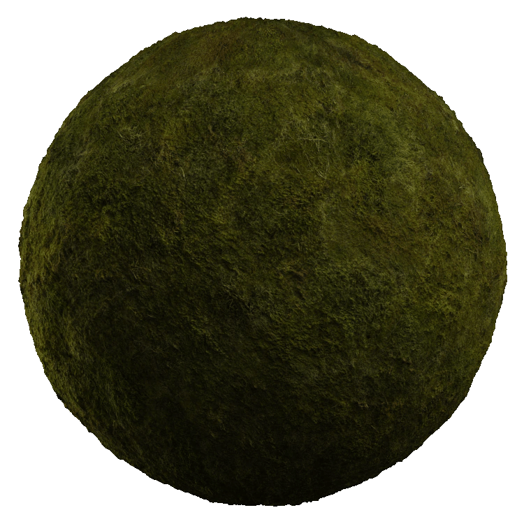Lawn Grass PBR Texture - A23D