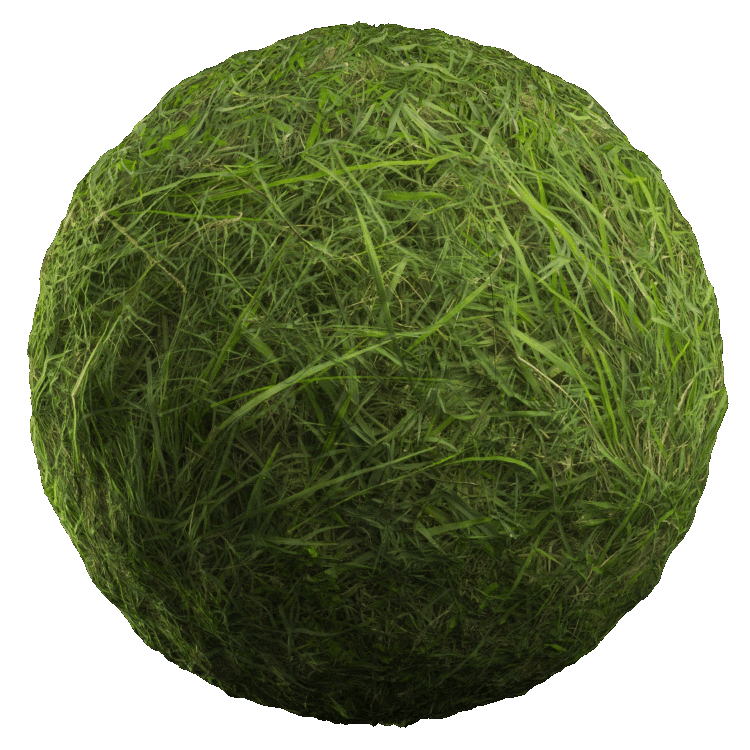 Wild Grass PBR Texture - A23D