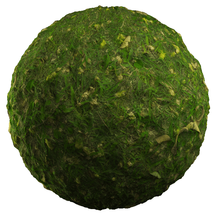 Wild Grass PBR Texture - A23D
