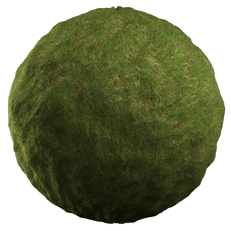 Lawn Grass PBR Texture - A23D