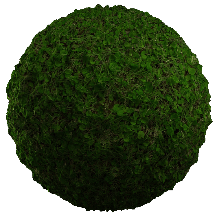 Wild Grass PBR Texture - A23D