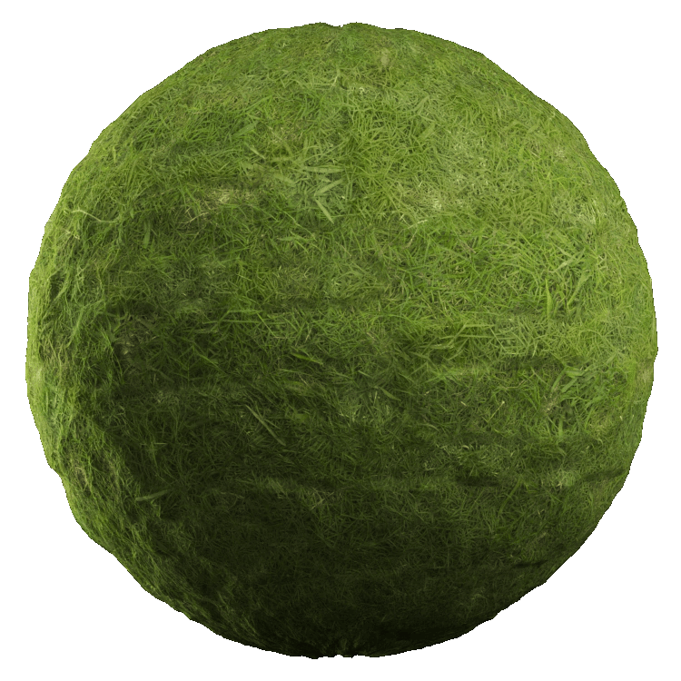 Lawn Grass PBR Texture - A23D