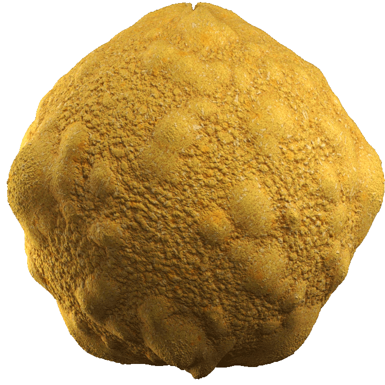 Bread PBR Texture - A23D