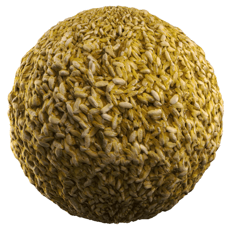 Rice PBR Texture - A23D