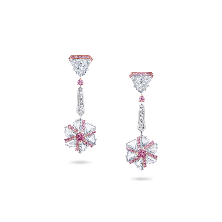 Spotlight - David Morris