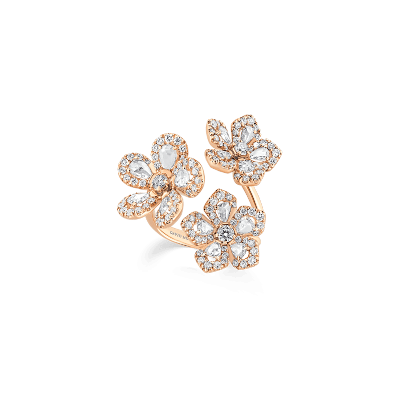 Fine Rings - David Morris