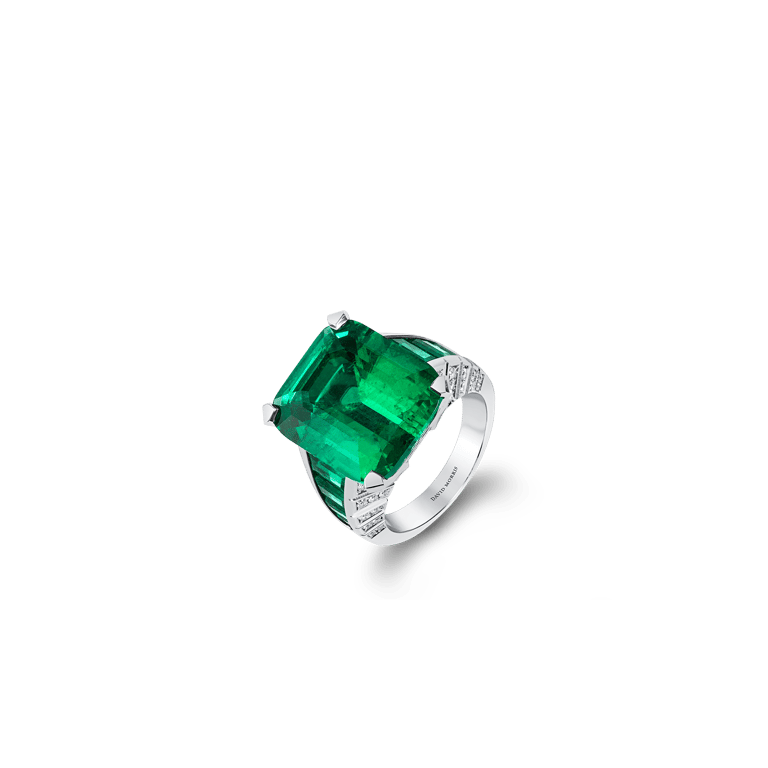 Spotlight - David Morris