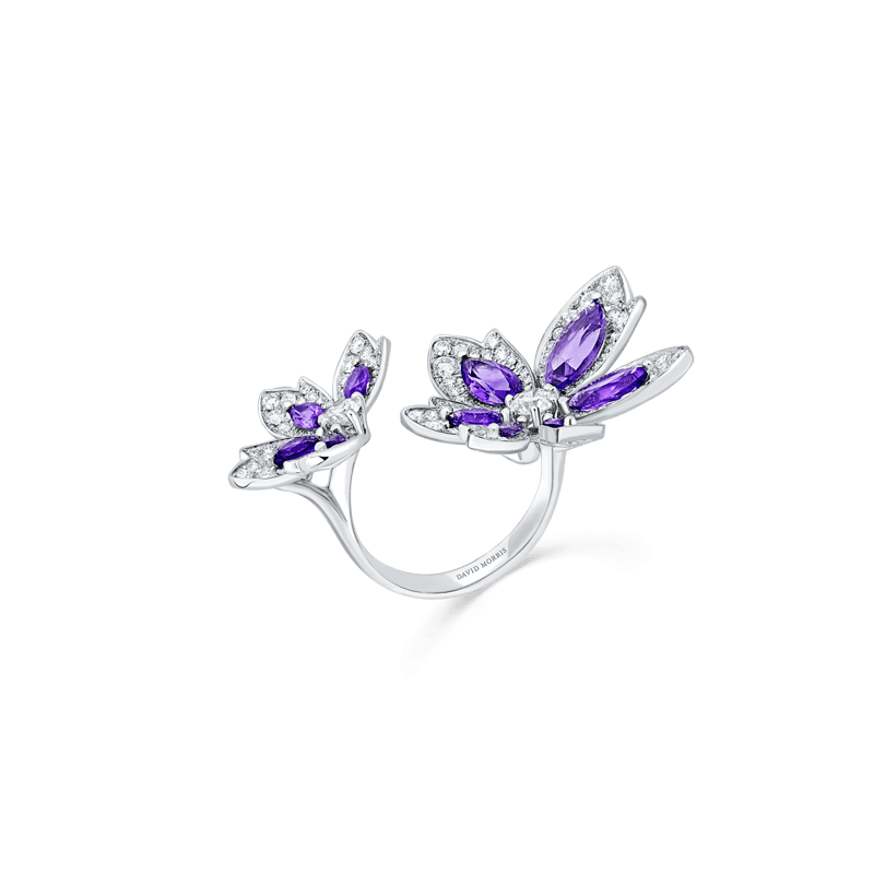 Fine Rings - David Morris