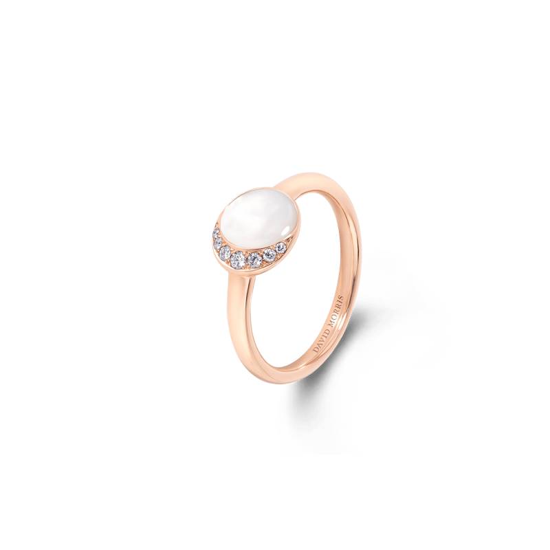 Fine Rings - David Morris