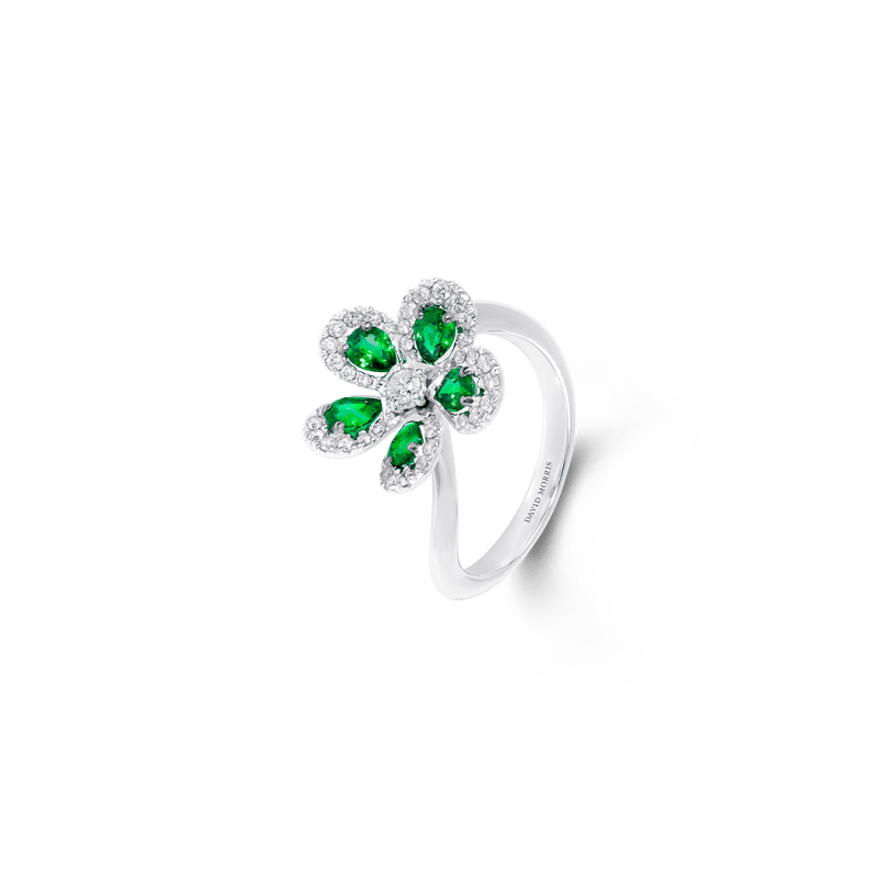 Fine Rings - David Morris