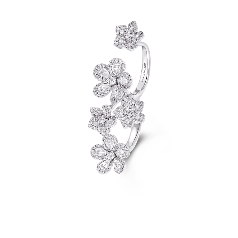 Fine Rings - David Morris