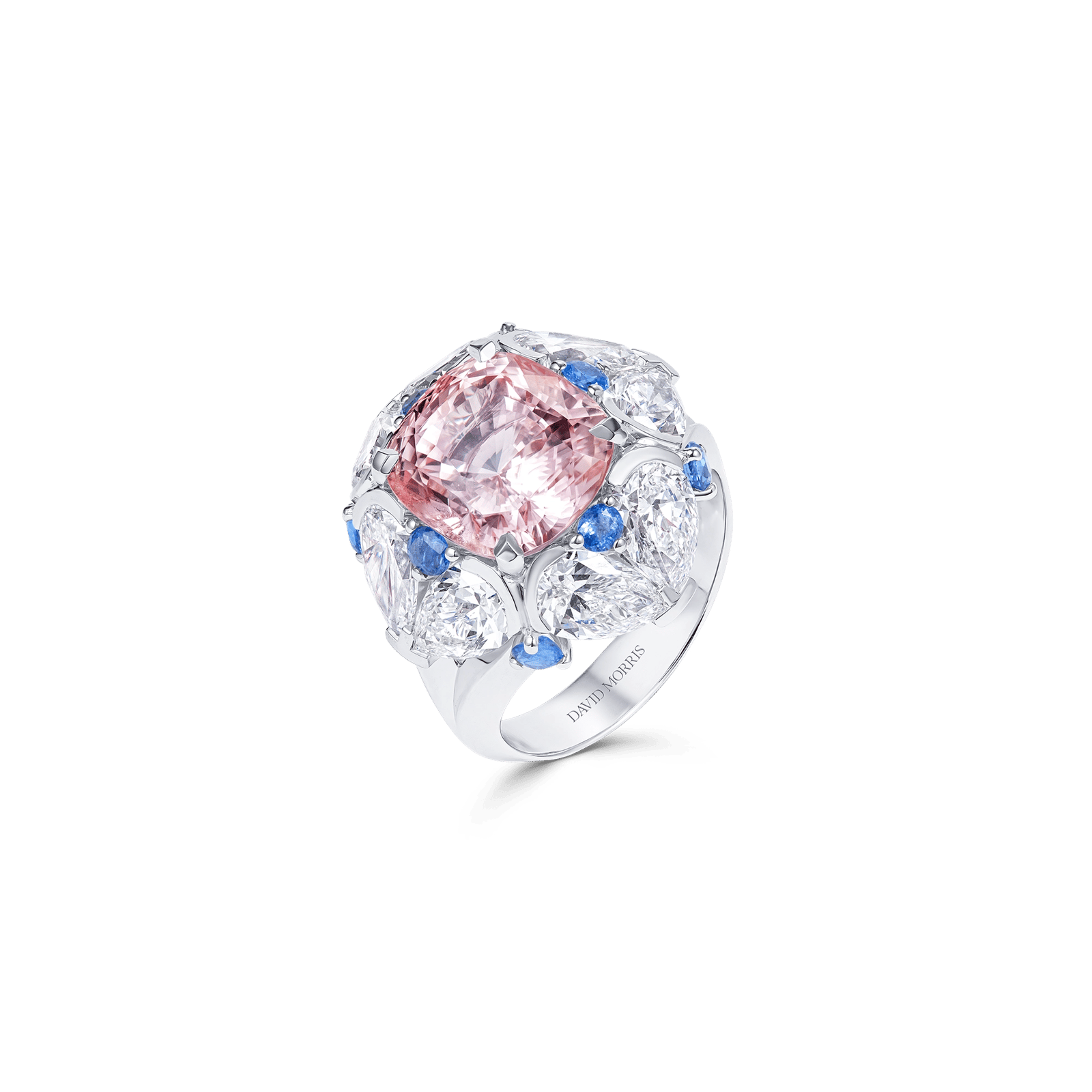 Fragilis Ring - David Morris