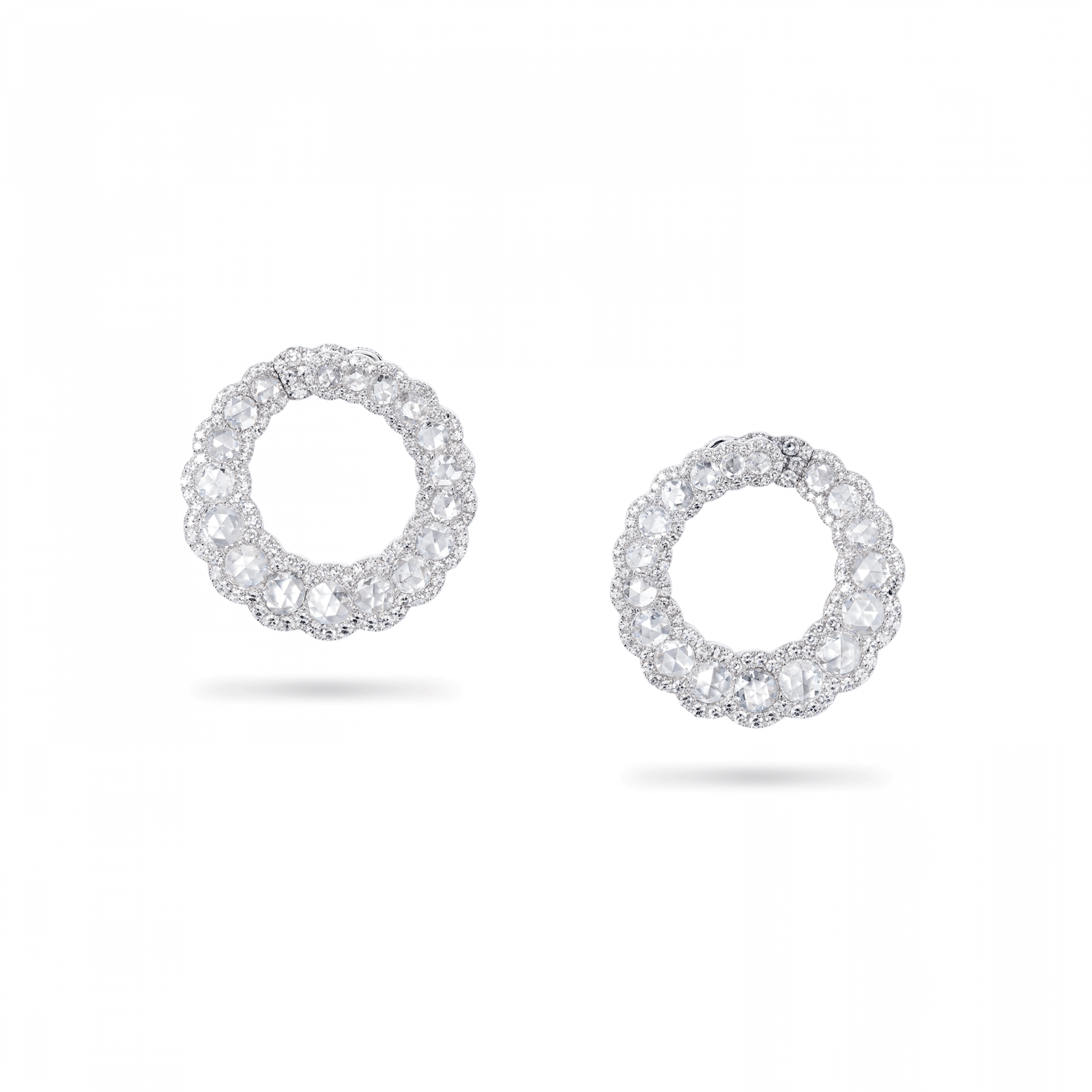 Rose Cut - David Morris