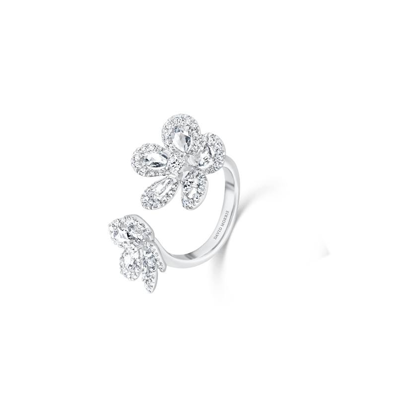 Fine Rings - David Morris