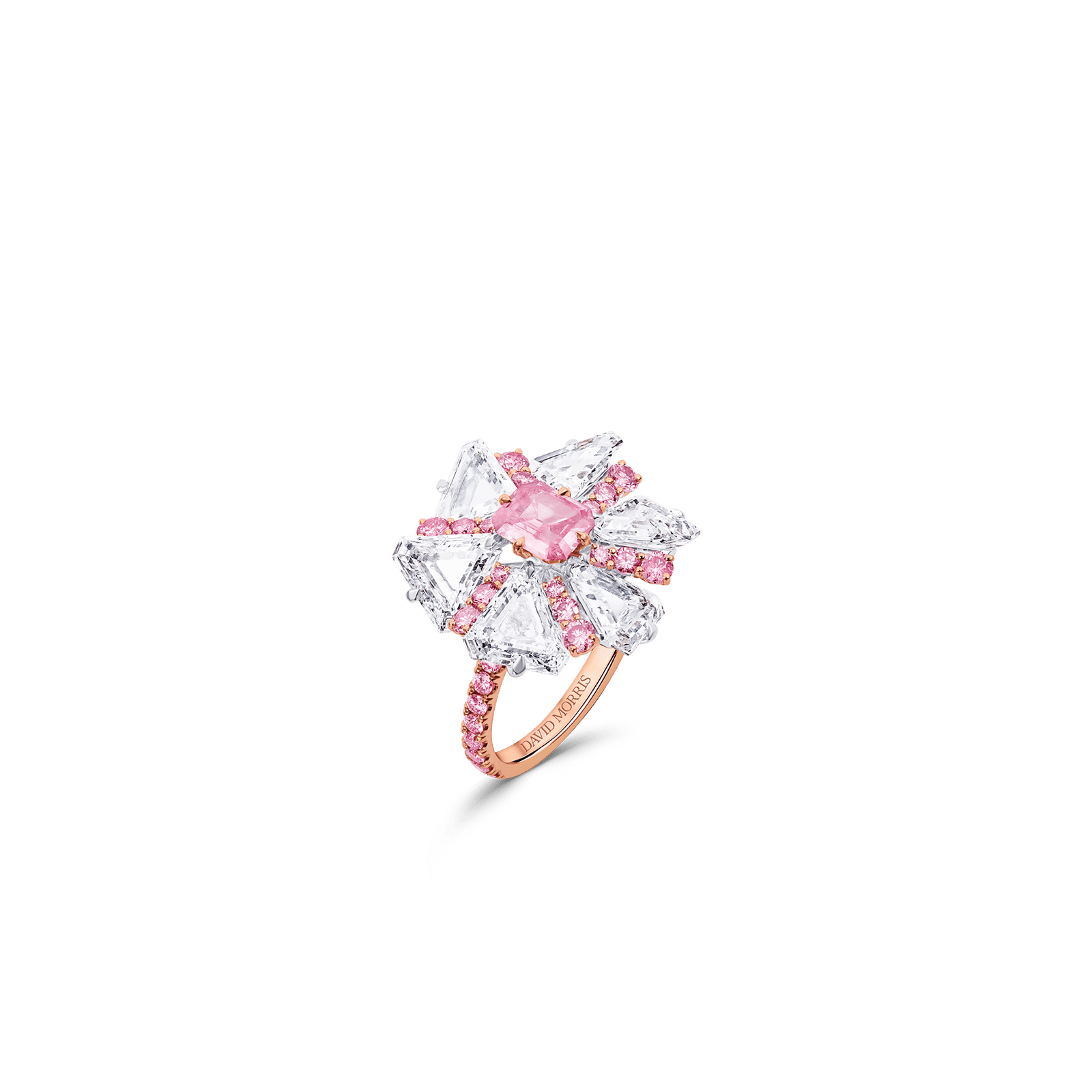 High Rings - Handcrafted By David Morris