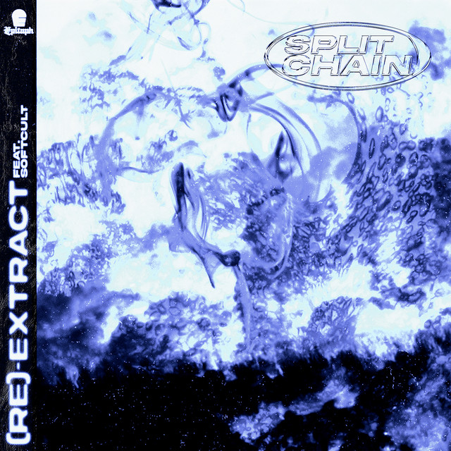(Re)-Extract - Music - Softcult (Re)-Extract - Music - Softcult