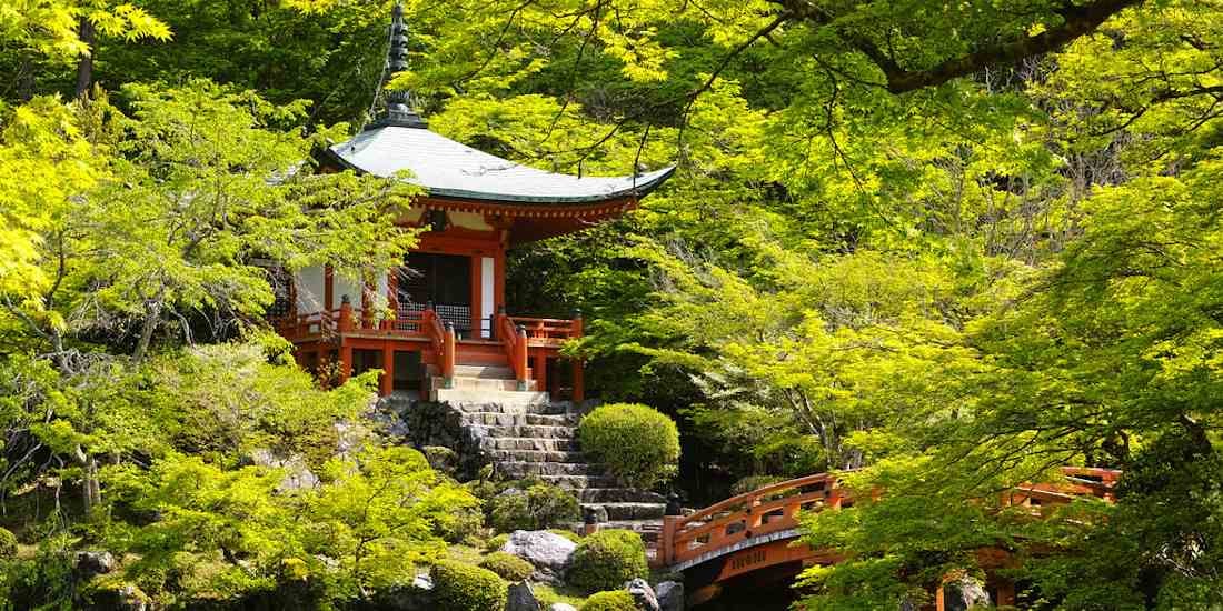 Visiter Daigo-ji Kyoto guide horaires tarifs histoire et conseils