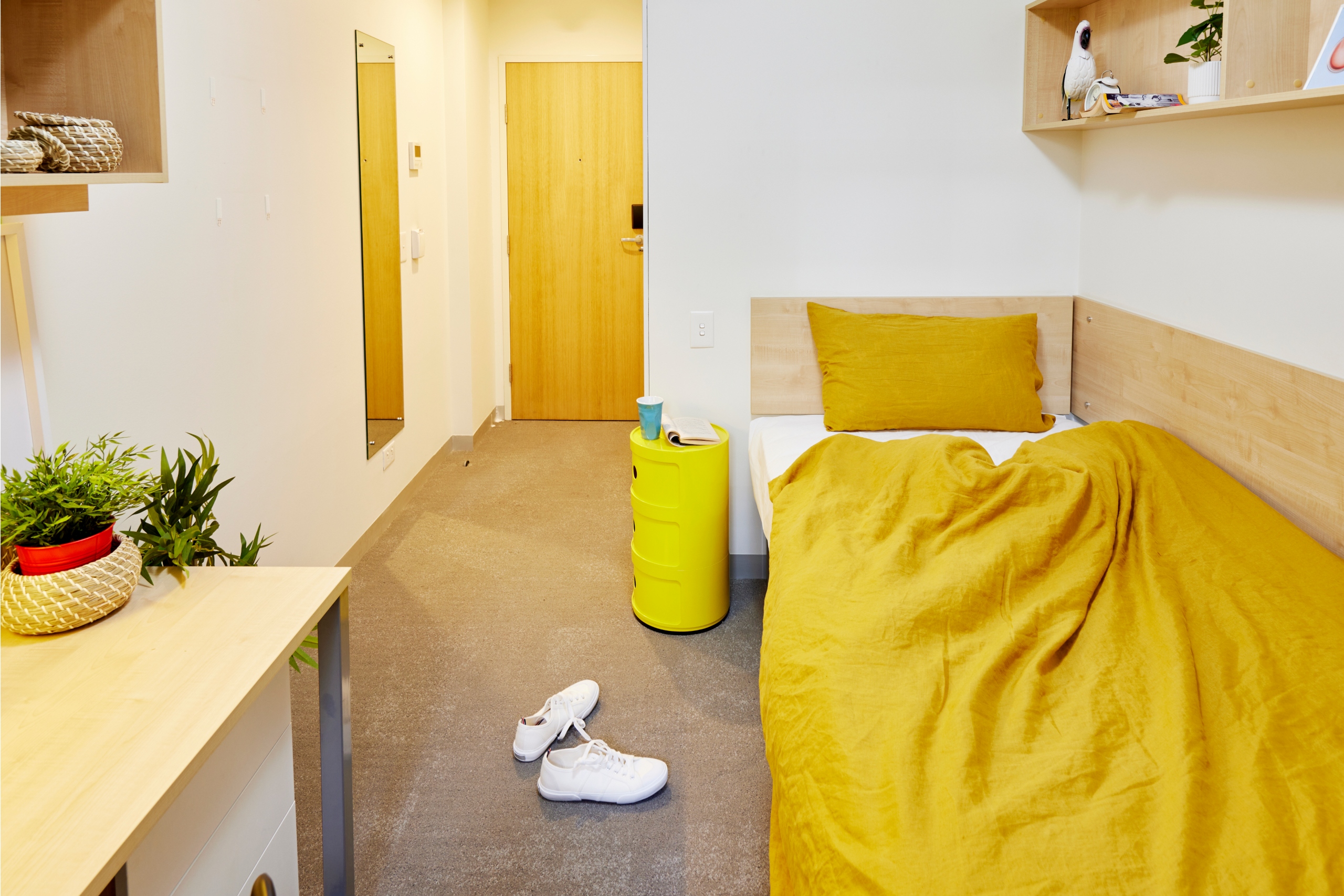 Twin shared Apartment in Sydney Central for Students | Scape