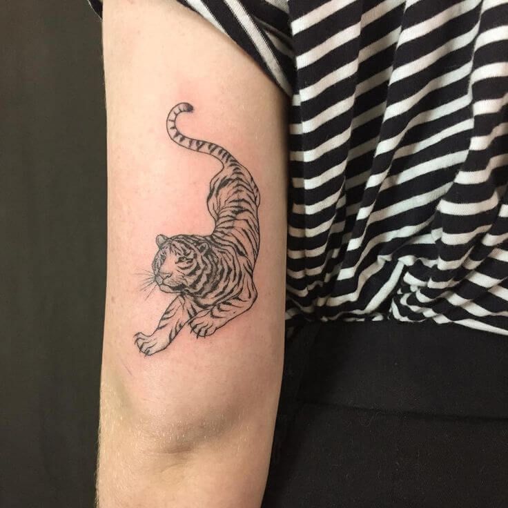 30 Fierce Tiger Tattoo Ideas That'll Make You Roar