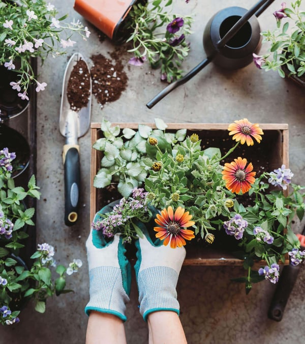 TRIARA | Sime Darby Property