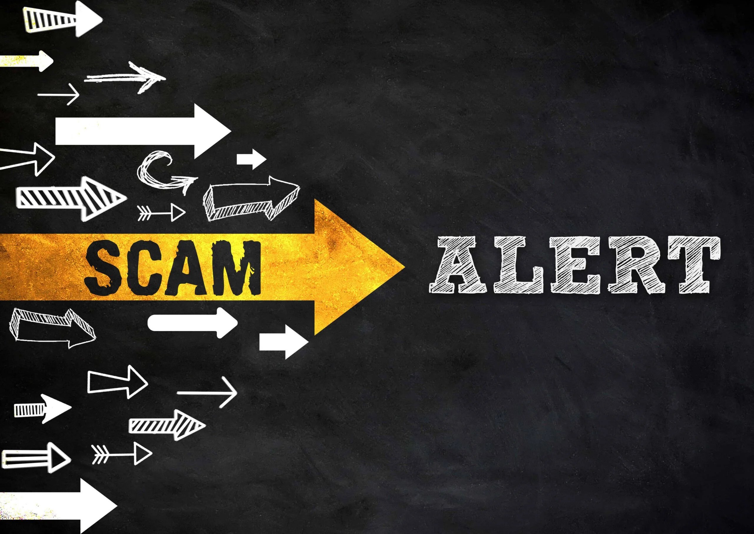 Scam Website Alert – November 2023 - Cybertrace™