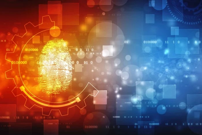 Background Check Investigation - Cybertrace™