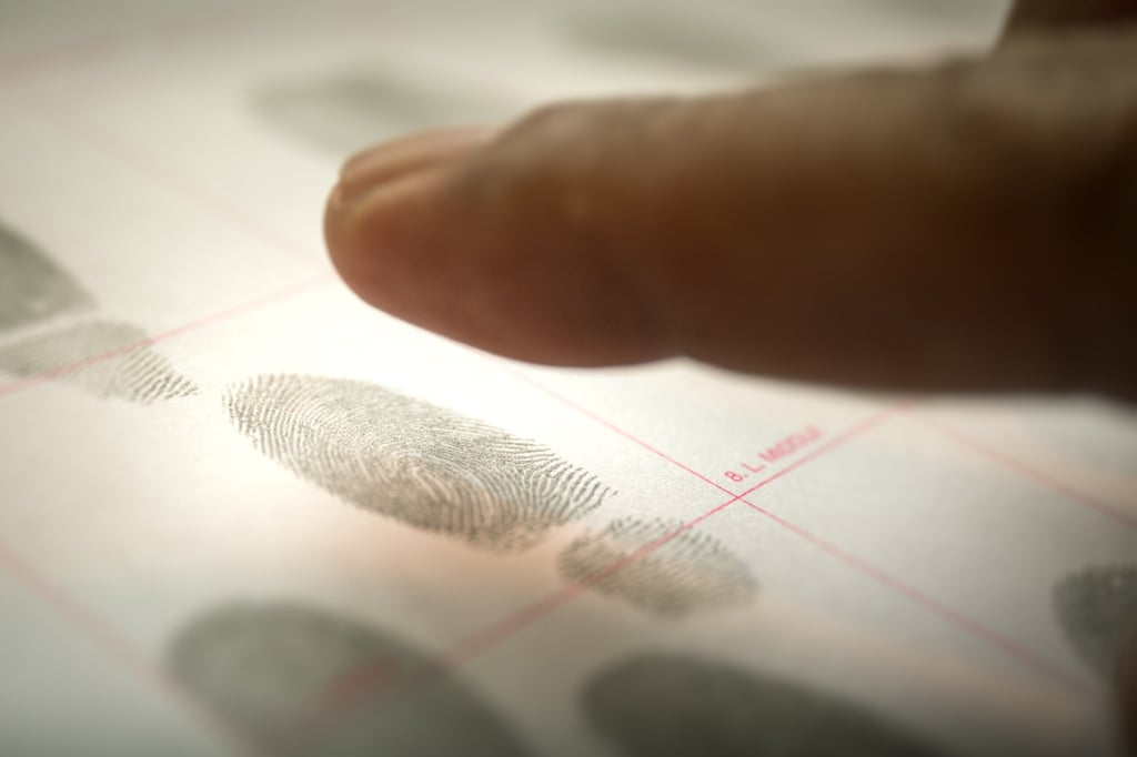Criminal Record Check and Pre-Employment - Cybertrace™