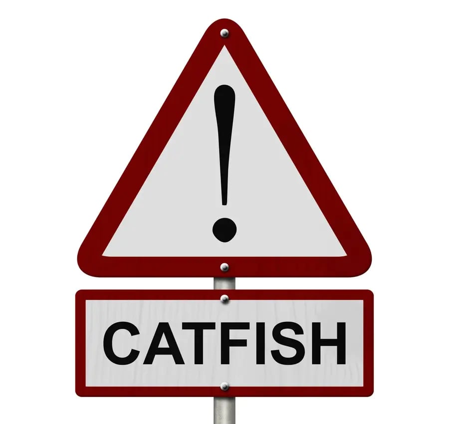 Help, I have been Catfished! - Cybertrace™
