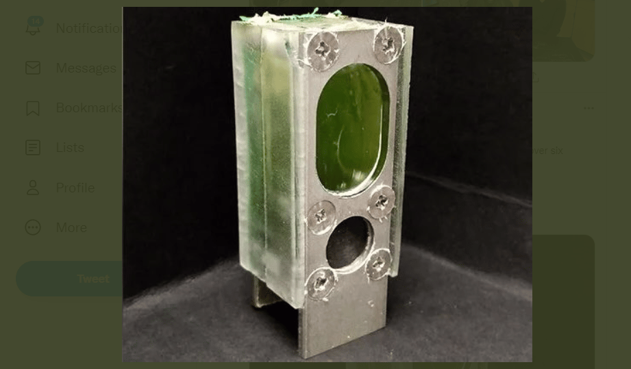 用藻類光合作用來發電！劍橋大學開發新系統，可供電微處理器 | DQ 地球圖輯隊