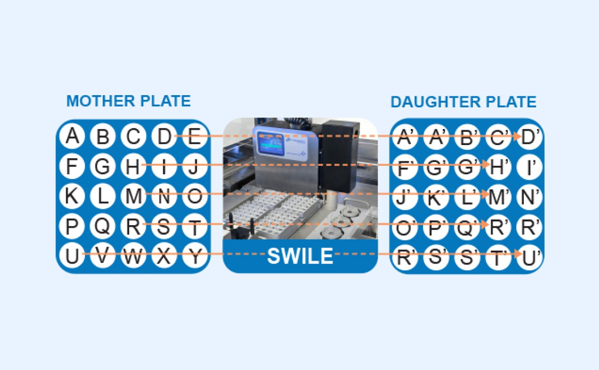Automated solid dispensing begins here