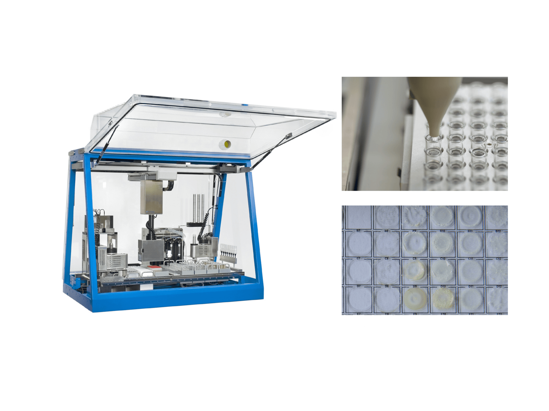 Automated Polymorph Screening, Crystallization, Scale Up
