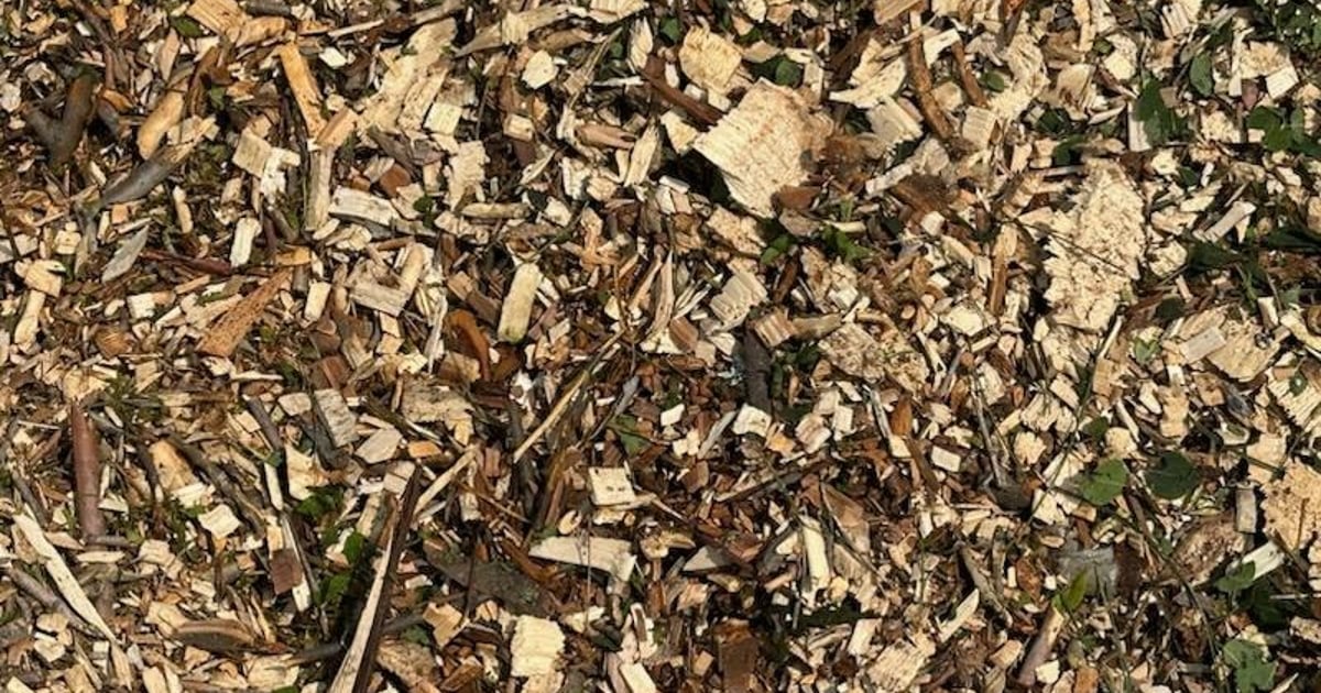 Missoula Arborist Wood Chip Delivery - Little Dumps Missoula Arborist Wood Chip Delivery - Little Dumps