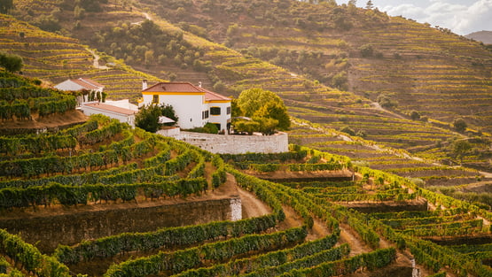 Le Havre Du Douro - Douro