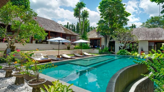 Bunga Pangi - Bali