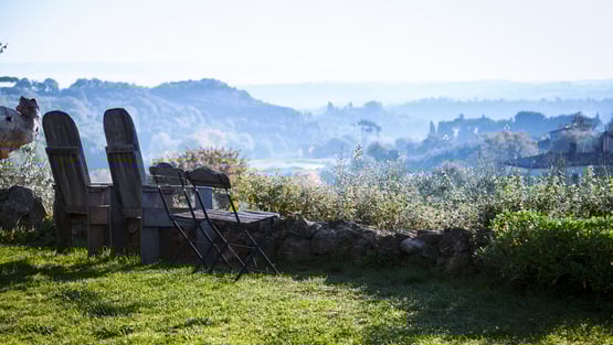 Fattoria Sm - Montepulciano