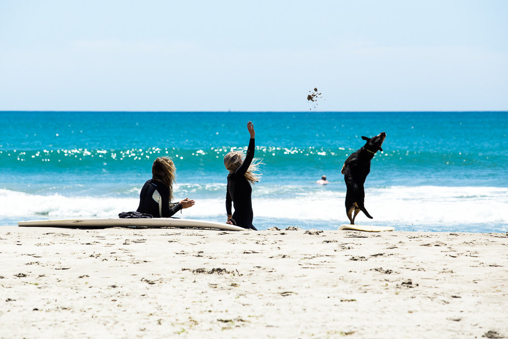 The collaborative approach: Woods Agency's Reuben Woods on tackling the ...