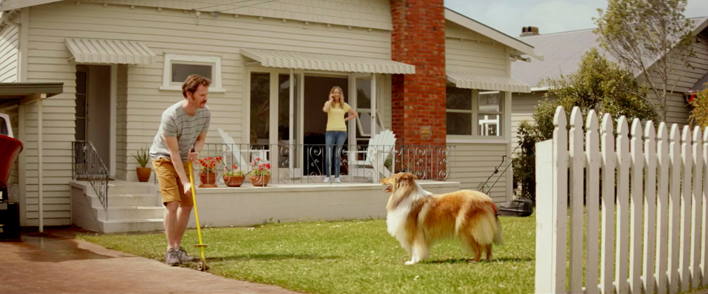 DB Export Gold gets some love, teaches old dog new tricks to get men ...