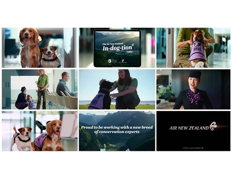 Air New Zealand wins March Kantar Ad Impact Award - stoppress.co.nz