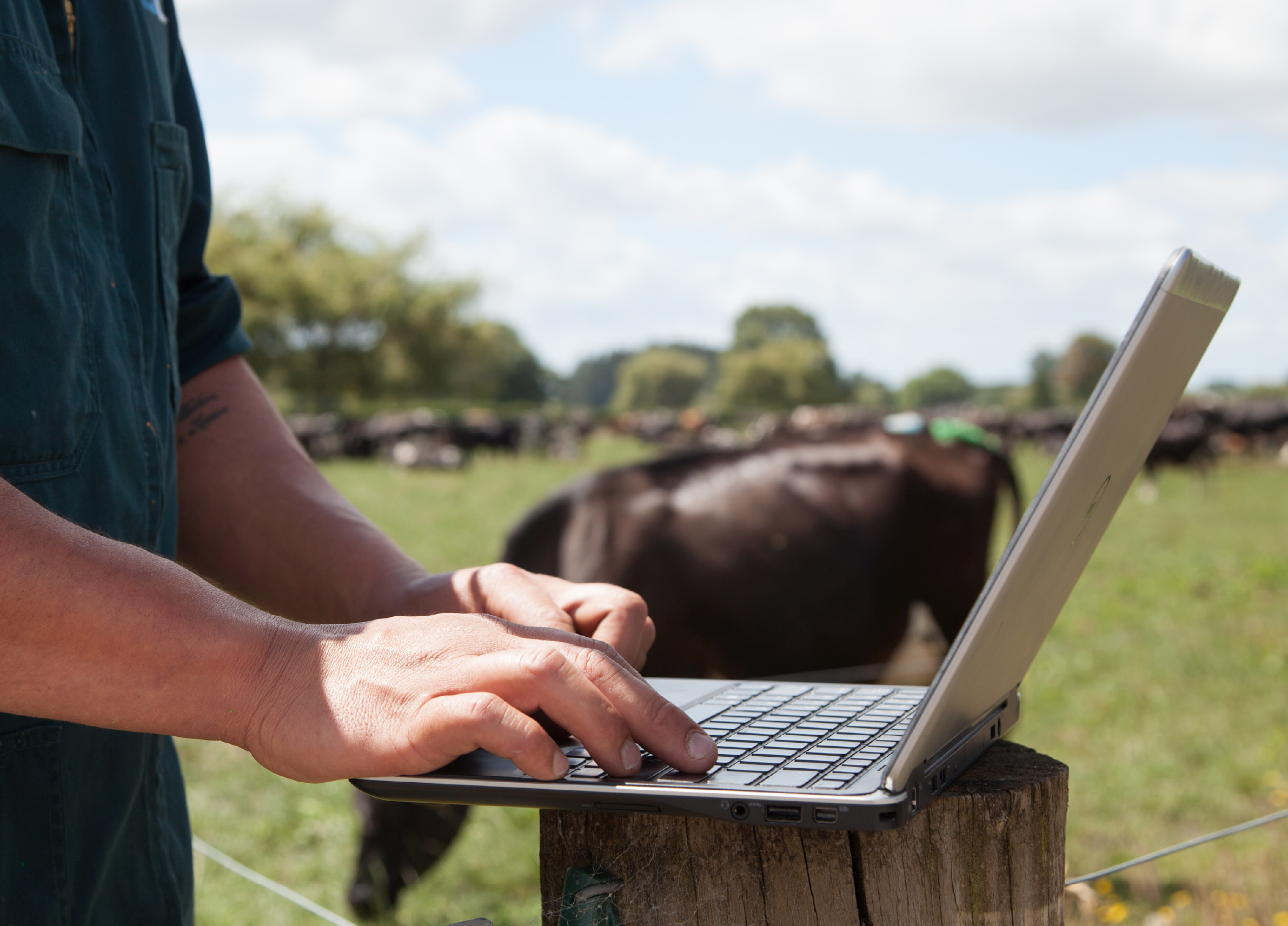 LIC's new software functionality to make life easier for farmers ...