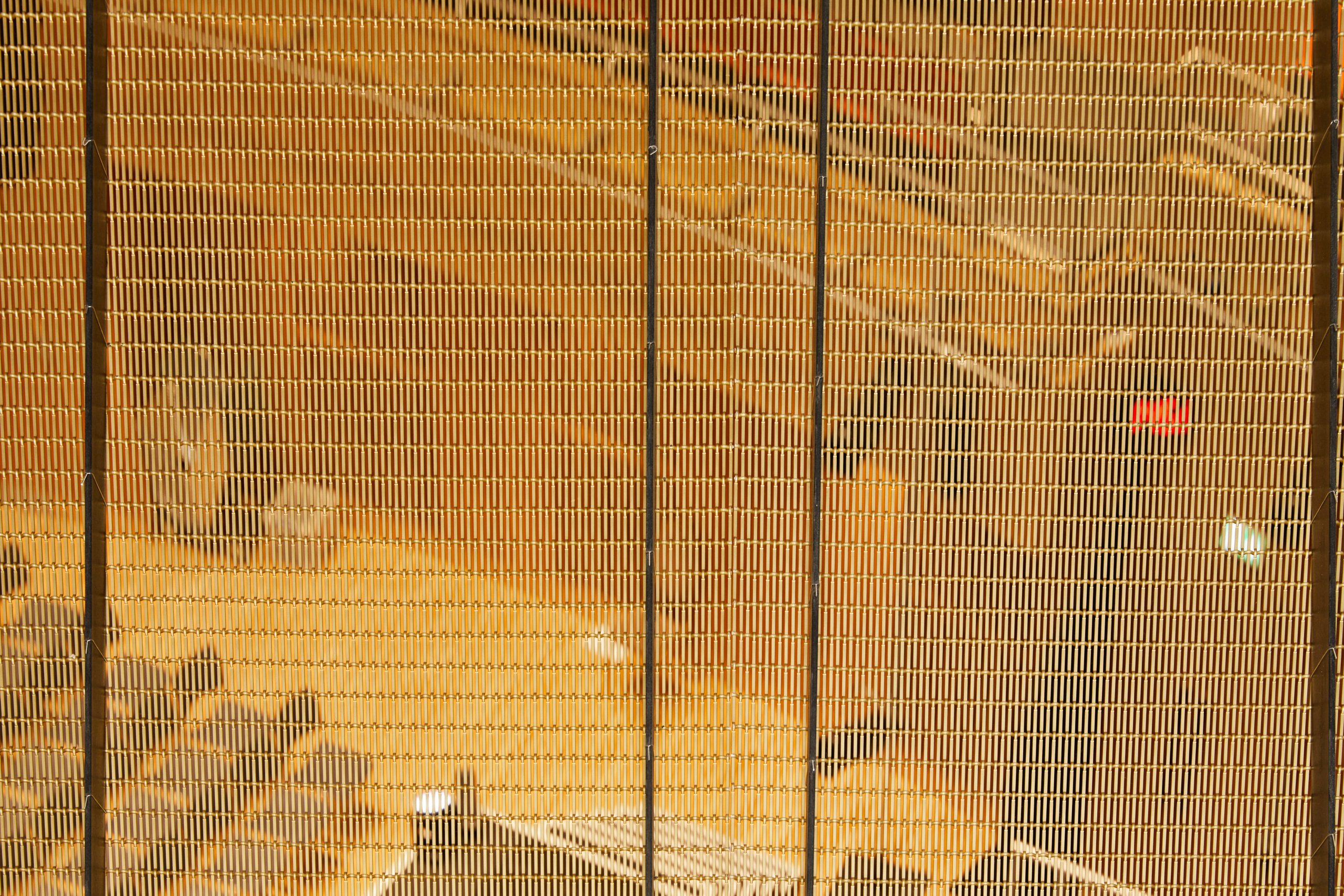 St. Edwards School – Suspended ceiling as the crowning glory | GKD Group